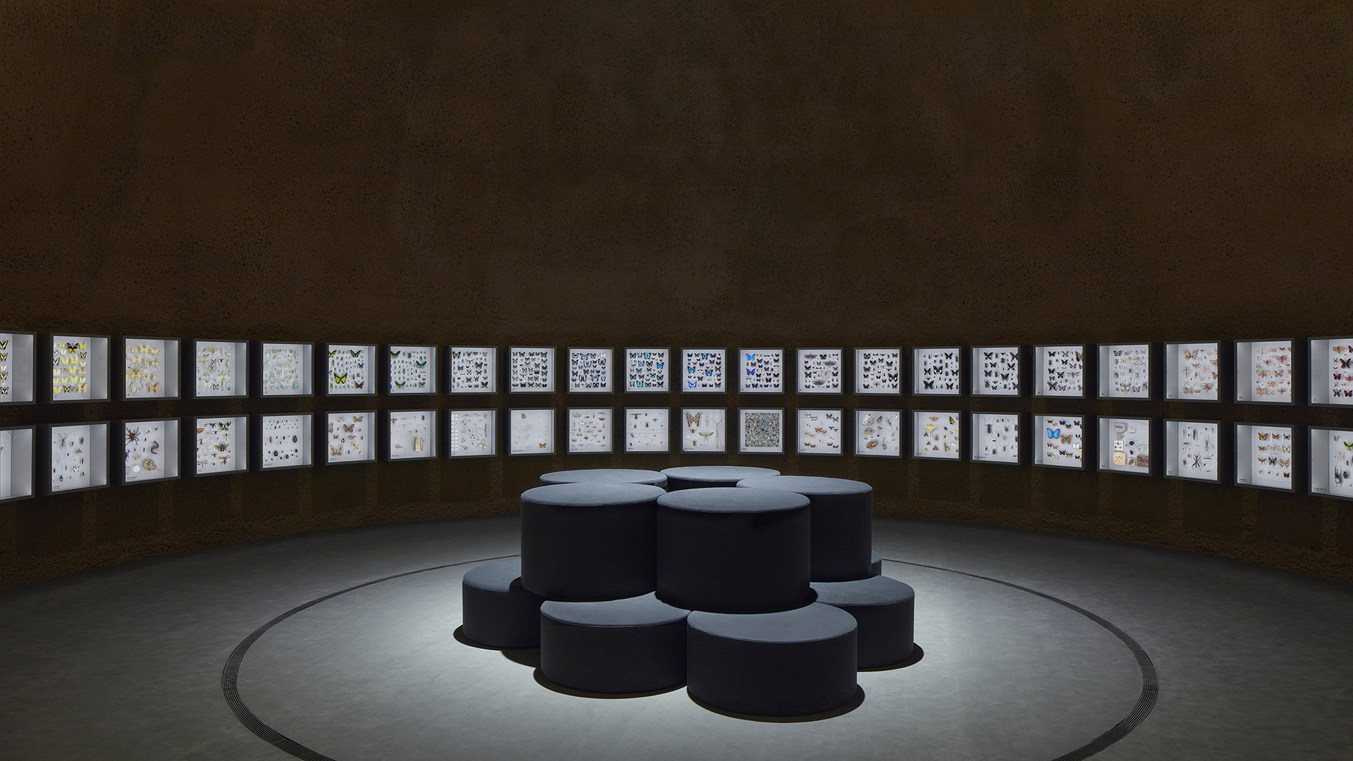 La métamorphose de l'Insectarium de Montréal est complète - Jodoin ...