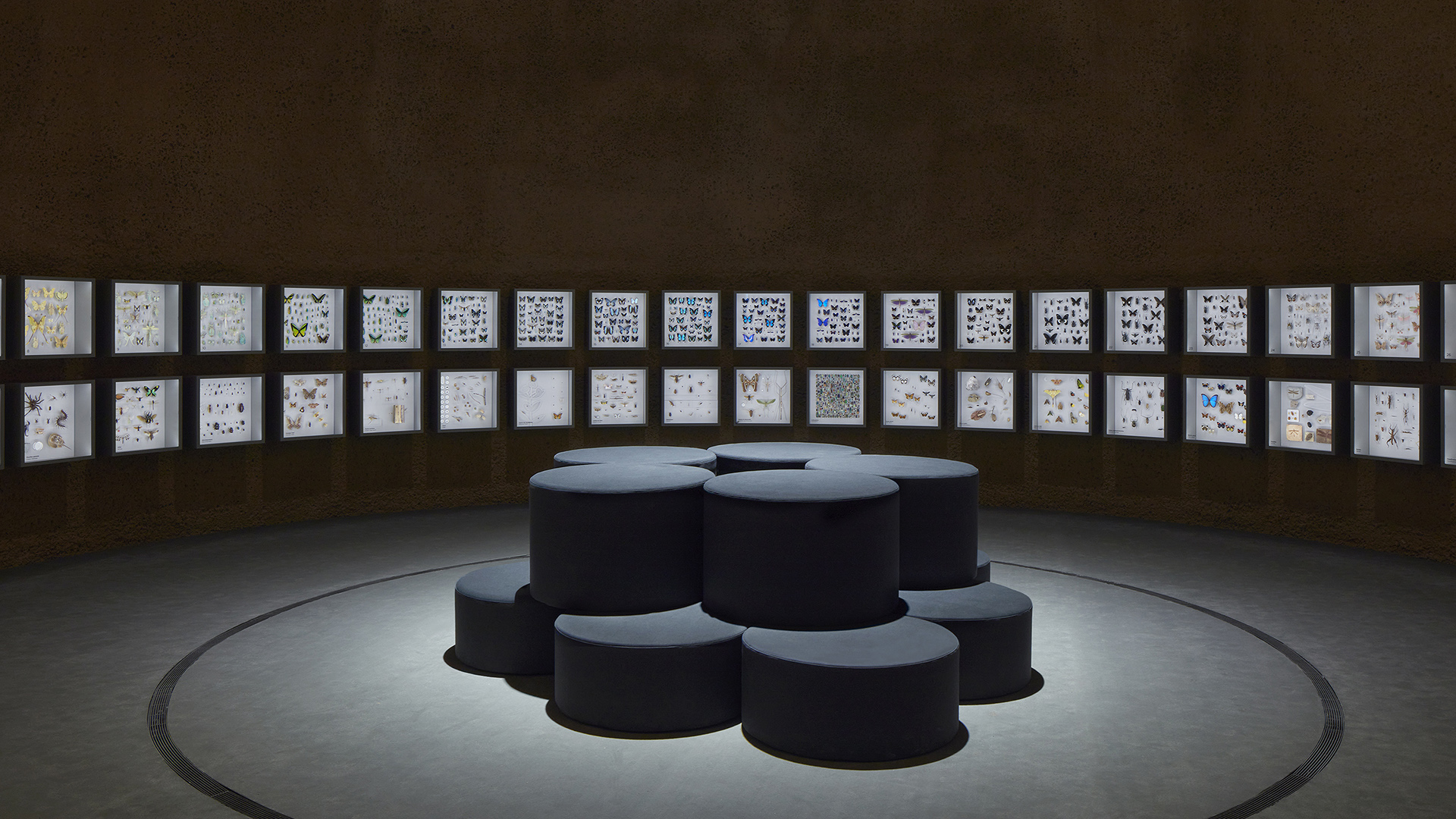 La métamorphose de l'Insectarium de Montréal est complète - Jodoin ...