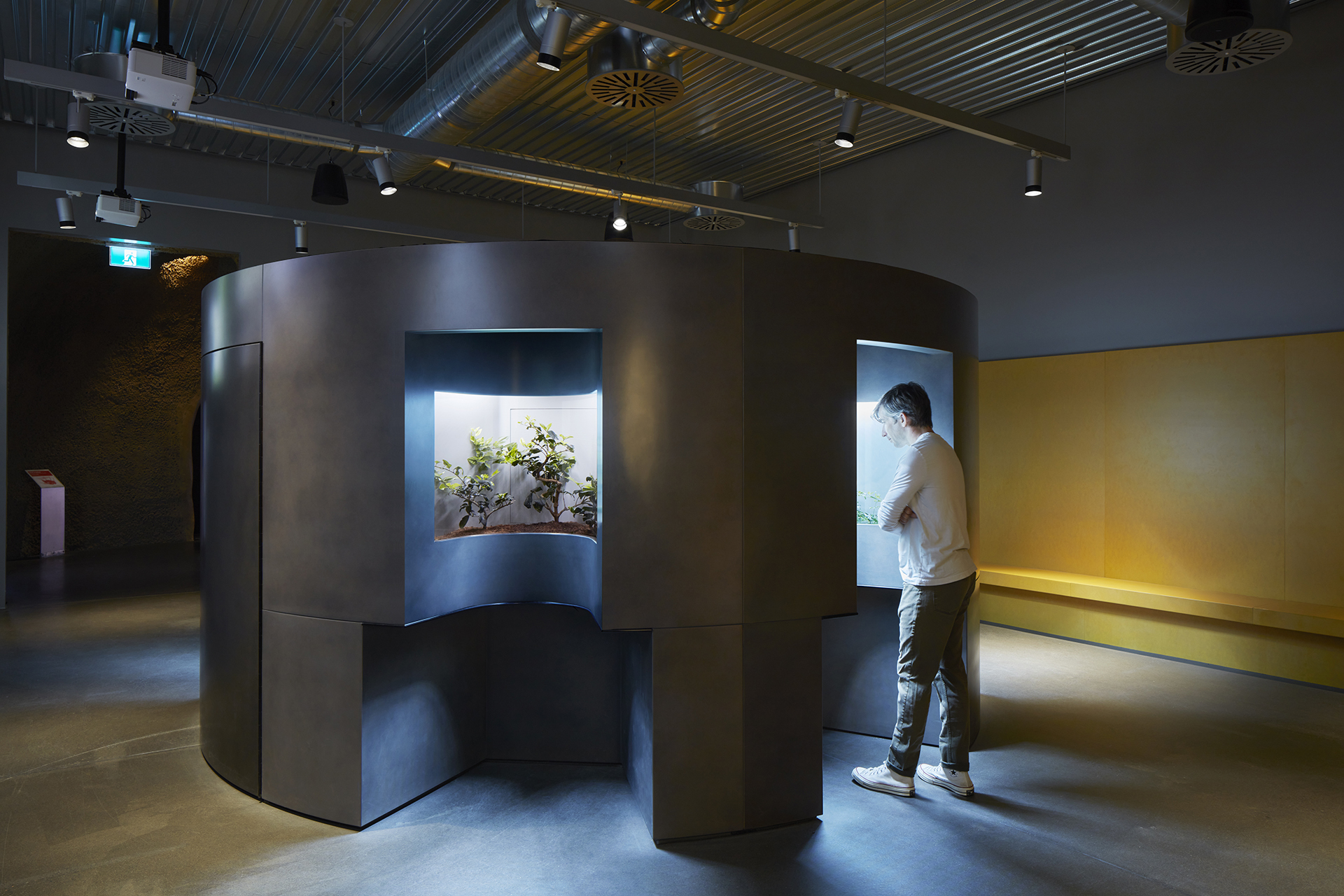 Metamorphosis of the Montréal Insectarium - Jodoin Lamarre Pratte ...